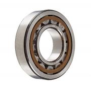 CYLINDRICAL ROLLER NU2307 POLY CAGE